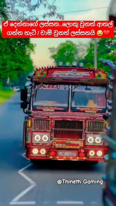 ඒ දෙන්නා ලොකු වුනත් ආතල් ගන්න හැටි 😍💪 ️ චාම් පිස්සුවක් 🇱🇰 Trending Slbusfans Srilanka