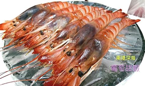 東港順記 魚船當日現撈 深海 葡萄蝦 霧殼 胭脂甜蝦 甜蝦（大尾中尾混合出貨）生食等級（料理店專用） Yahoo奇摩拍賣