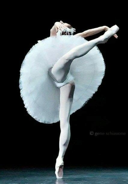 Pin By Lael Johnson On Dance Ballet Swan Lake Dance Picture Poses