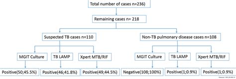 Diagnostic Accuracy Of Tb Lamp Assay In Patients With Pulmonary Tuberculosisa Case Control