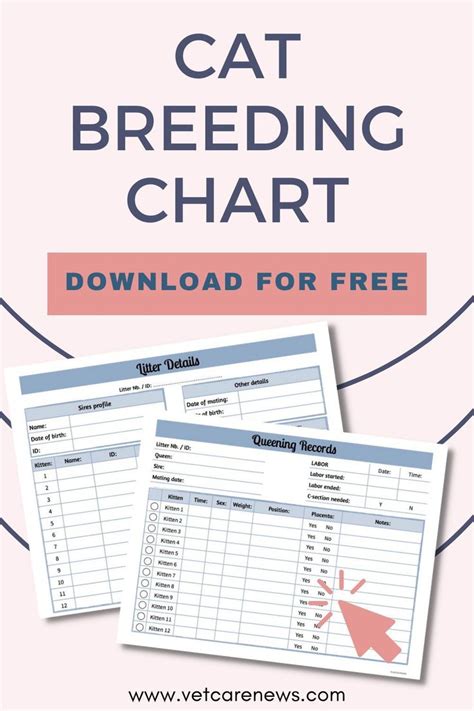 The Cat Breeding Chart Is Shown With Text Overlay