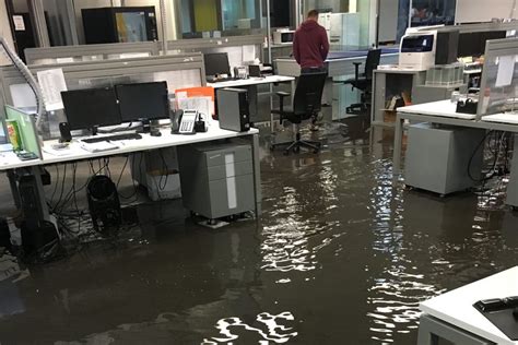Flood Restoration Services Eurobodalla Wizard Cleaning