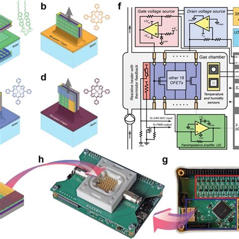 schematic representation of the sensor array fabrication process and