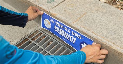 양천구 빗물받이 주변 위치파악 스티커 1300곳에 부착 서울25