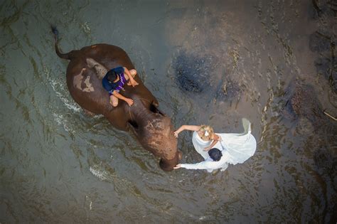 Captivating Chai Lai Orchid Eco Lodge Wedding In Chiang Mai