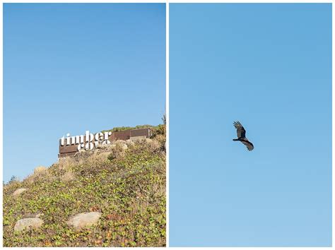 Sunny Proposal At Timber Cove Resort In Jenner — Stephanie Hopkins