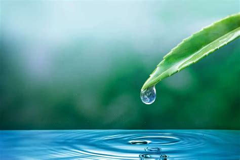 World Water Day 2022 Groundwater