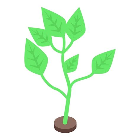 Premium Vector Natural Soybean Plant Icon Isometric Of Natural