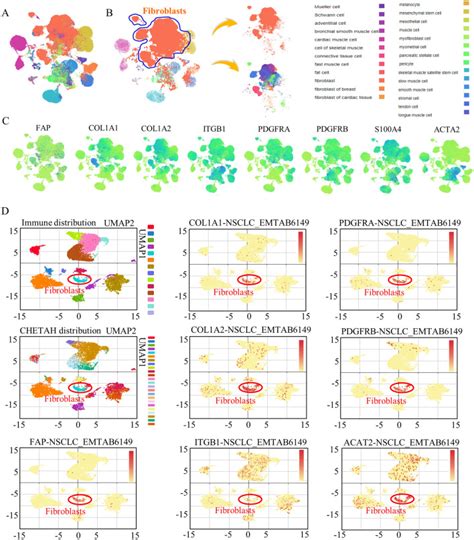 Refining The Optimal Caf Cluster Marker For Predicting Tme Dependent Survival Expectancy And