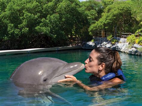 Xel Há Delphinus Dolphinclusive Interax Tulum Project Expedition