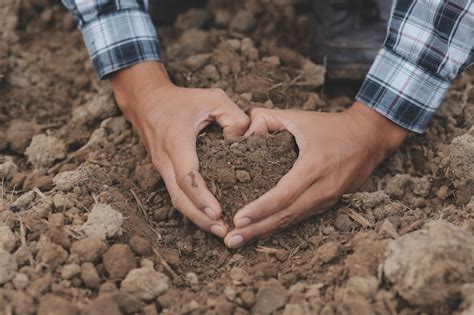 Imágenes De Manos Trabajando Tierra Descarga Gratuita En Freepik