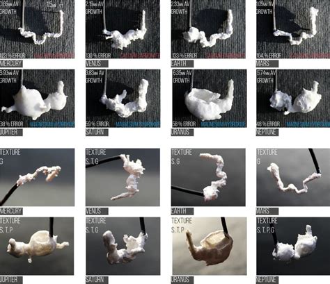 Physical Data Visualisation A Variety Of Volumes Are Grown And More