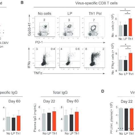 In Vitro Th1 Polarized Virus Specific Cd4 T Cells Sustain Long Term Th1