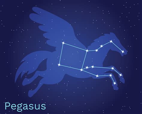 ilustración vectorial que representa la constelación de pegaso caballo