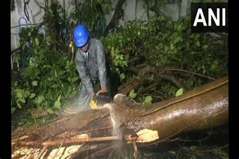 Cyclone Remal Makes Landfall Authorities Engaged In Clearing Uprooted
