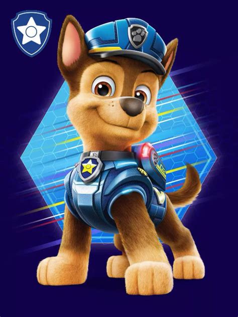 Pin By Wenda On Paw Patrol Chase Paw Patrol Paw Patrol Decorations