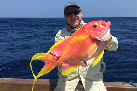 19 Deep Sea Fishing Facts