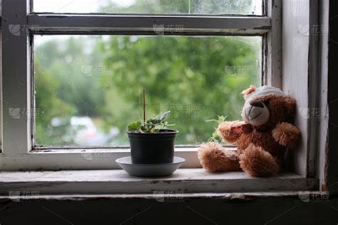 玩具 孤儿院 儿科医师 绷带 可爱的 泰迪熊 健康保健 保险箱 休闲游戏 药