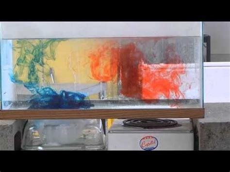 Convection Currents Demo Science 7 Middle Babe Science Experiments Convection Currents