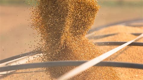 Soja Preços Em Ascensão No Brasil E Eua Aumentam Exportações Agro