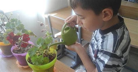 училишен весник „СЕКОЈ НОВ ДЕН“ на OОУ „Рајко Жинзифов“ н Драчево Скопје Ден на пролетта