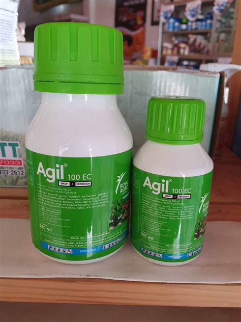 Herbisida Agil Obat Rumput Pada Tanaman Kacang Kacangan Cabe Dll