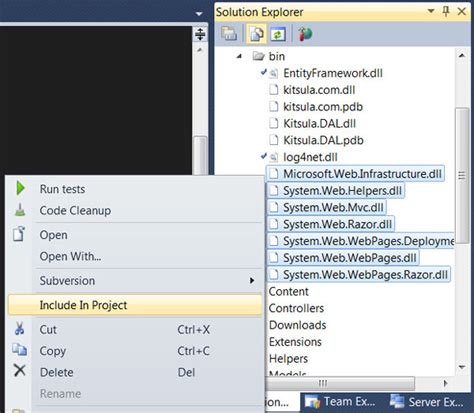 How To Deploy An ASP NET MVC 3 App To Web Hosting With Bin Deployment