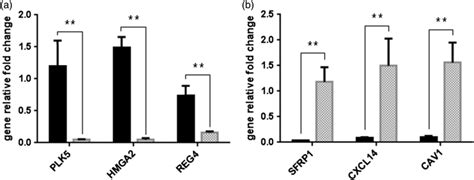Validation Of Messenger Rna Mrna Microarray Data By Quantitative