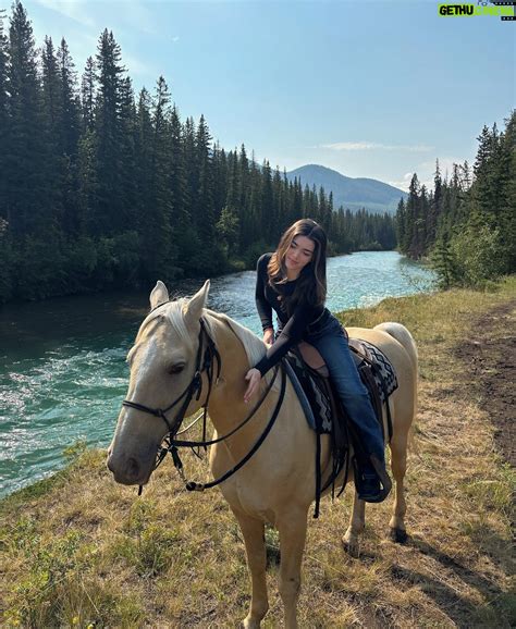 Alisha Newton Wiki Biography Age Gallery Spouse And More