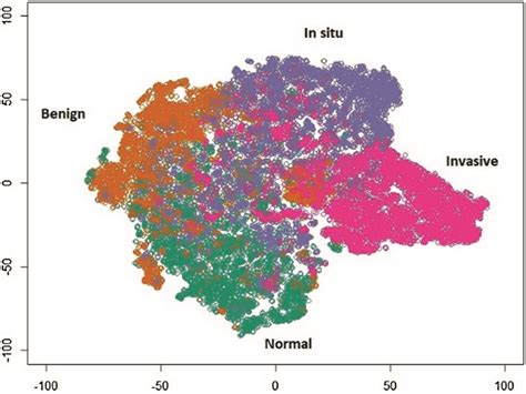 T Sne Visualization Of Cancercaps Layer Features Download Scientific