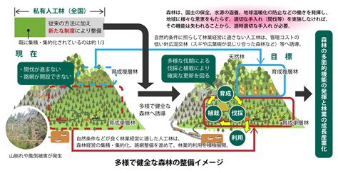 森づくりサポートセンター 森林経営管理制度
