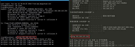 win10系统中virtualbox网络桥接与主机直链同一wifi局域网互通并可连接外网 安装virtualbox后wifiwin10 csdn博客