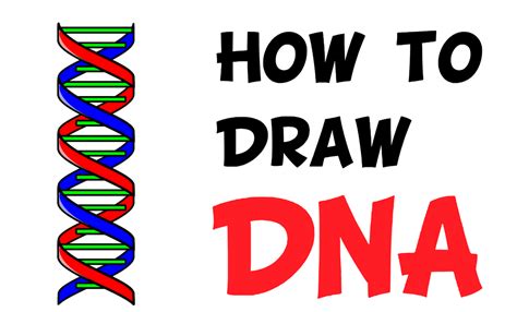 Aggregate More Than 177 Dna Structure Drawing Best Nanoginkgobiloba Vn