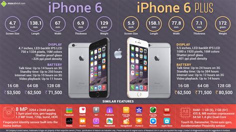All You Need to Know about Apple iPhone 6 & iPhone 6 Plus