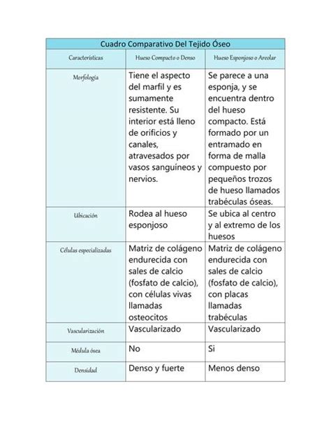 Cuadro Comparativo Del Tejido Óseo Fernanda Jacquez Udocz