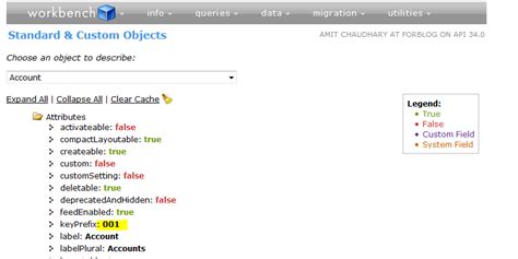 Amit Salesforce Salesforce Tutorial Record Id Prefix Object Type