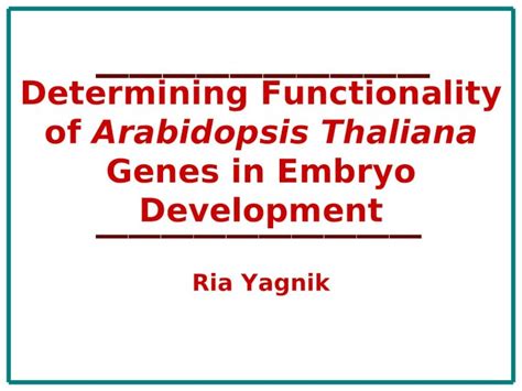 Ppt Determining Functionality Of Arabidopsis Thaliana Genes In Embryo