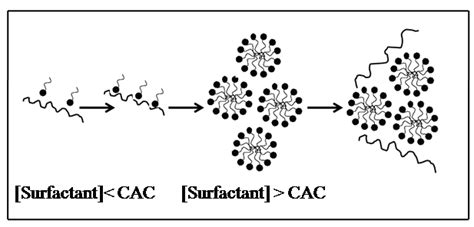 Binding Of Surfactant With Block Copolymer Download Scientific Diagram