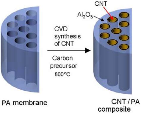 Synthesis Of Carbon Nanotube Cnt Composite Membranes