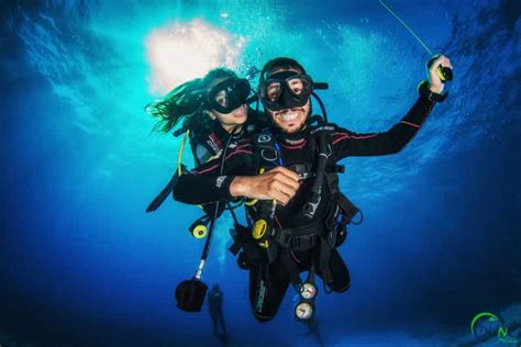 PADI Tauchkurs Im Offenen Meer GetYourGuide