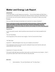 Matter And Energy Lab Report 1 06 Pdf Matter And Energy Lab Report Introduction For This Lab