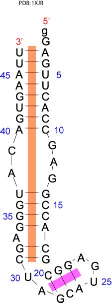 Annotated Structure