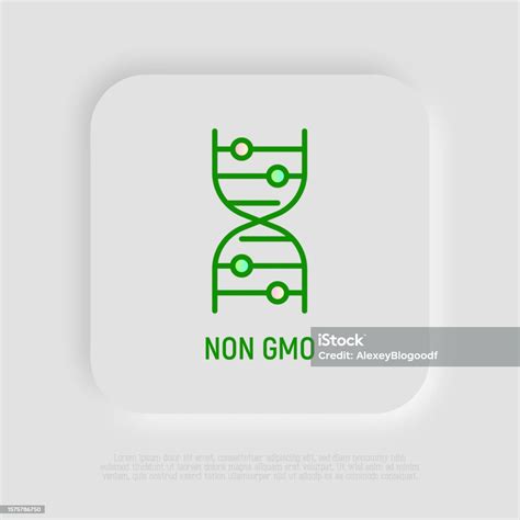 비 Gmo 기호 유기농 식품 미용 제품에 대한 얇은 라인 아이콘 현대 벡터 그림입니다 0명에 대한 스톡 벡터 아트 및 기타