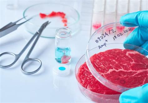 Carne Stampata E Coltivata In Cucina