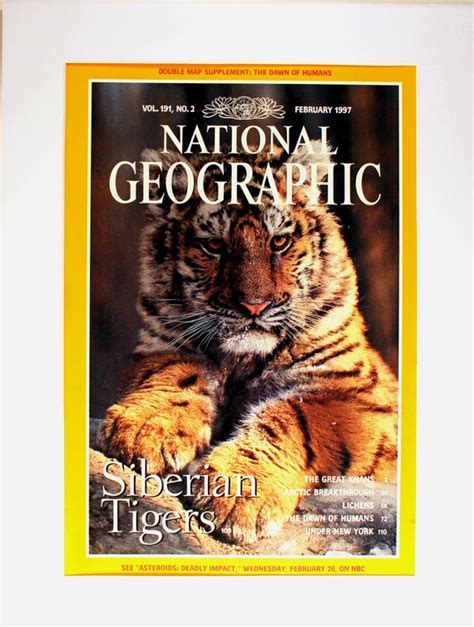 National Geographic Tiger