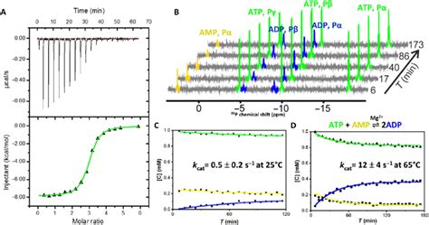 Odinak Substrate Binding Affinity And Enzyme Kinetics A Itc Binding