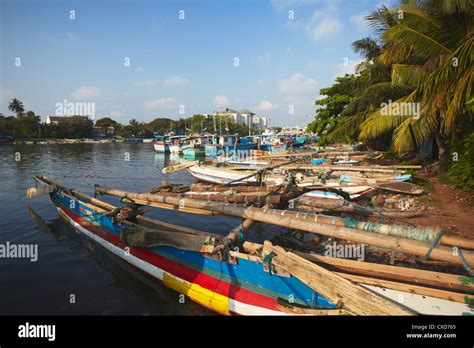 Fishing Boats In Negombo Lagoon Negombo Western Province Sri Lanka