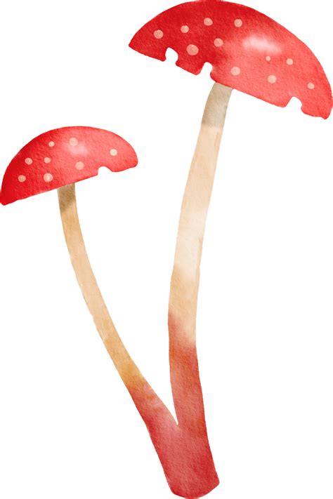 Watercolor Colorful Mushroom 11210859 Png
