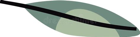 Eucalyptus Tree Leaf Stock Vector Illustration Of Green 353252030