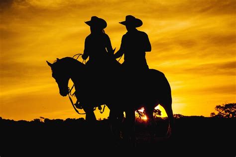 Saiba Tudo Sobre As Cavalgadas No Blog Da 7MBoots